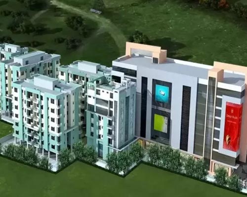 Gallery – Agrim View